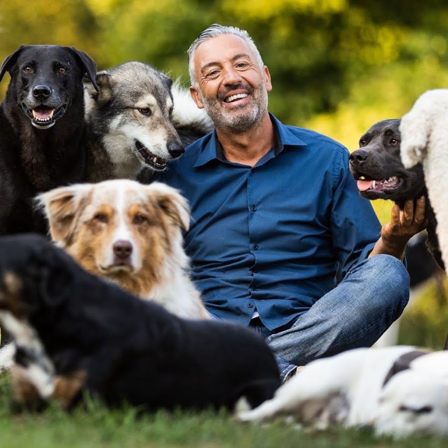 Andys Dog TV - YouTube