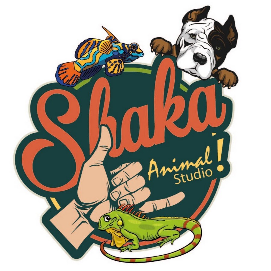 Shaka Animal Studio - YouTube