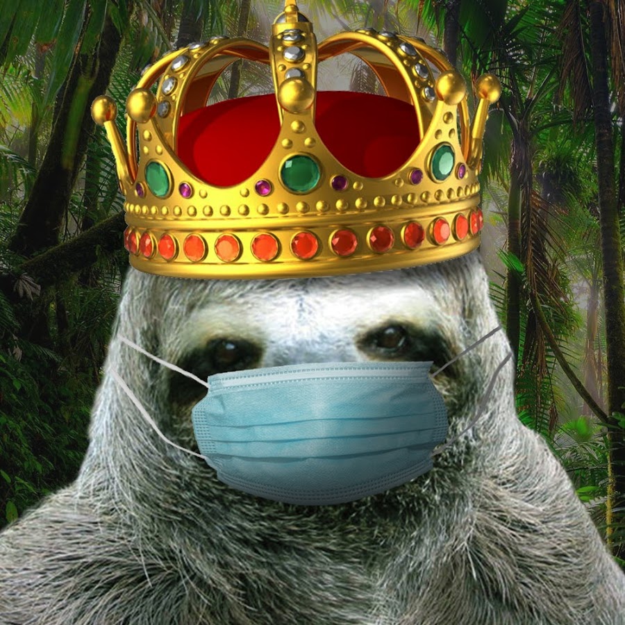 Royal Sloth King - YouTube