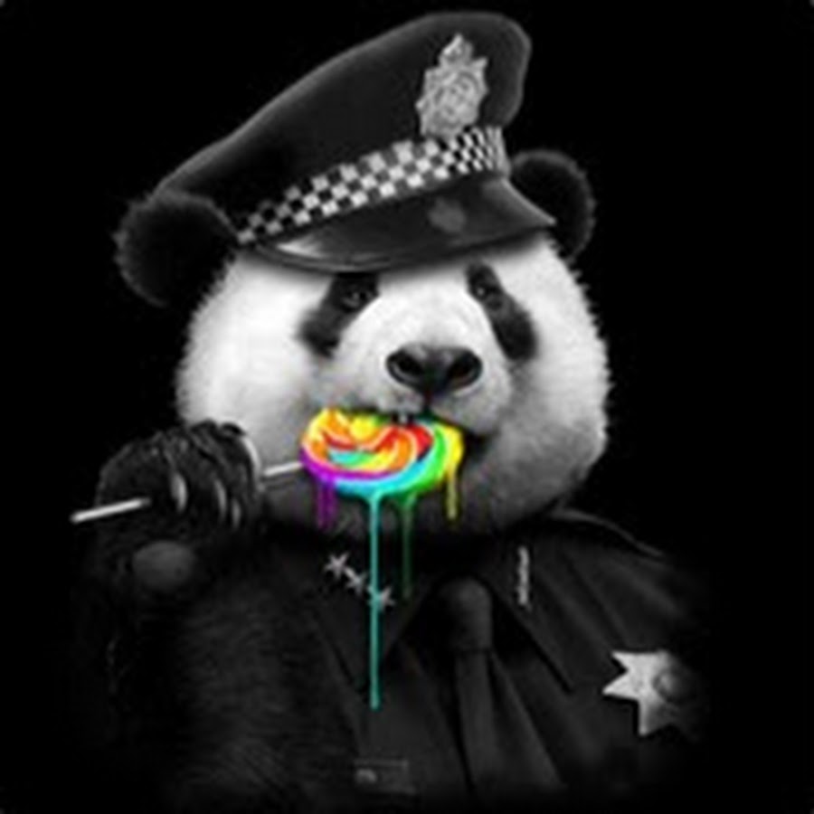 Aggressive Panda - YouTube