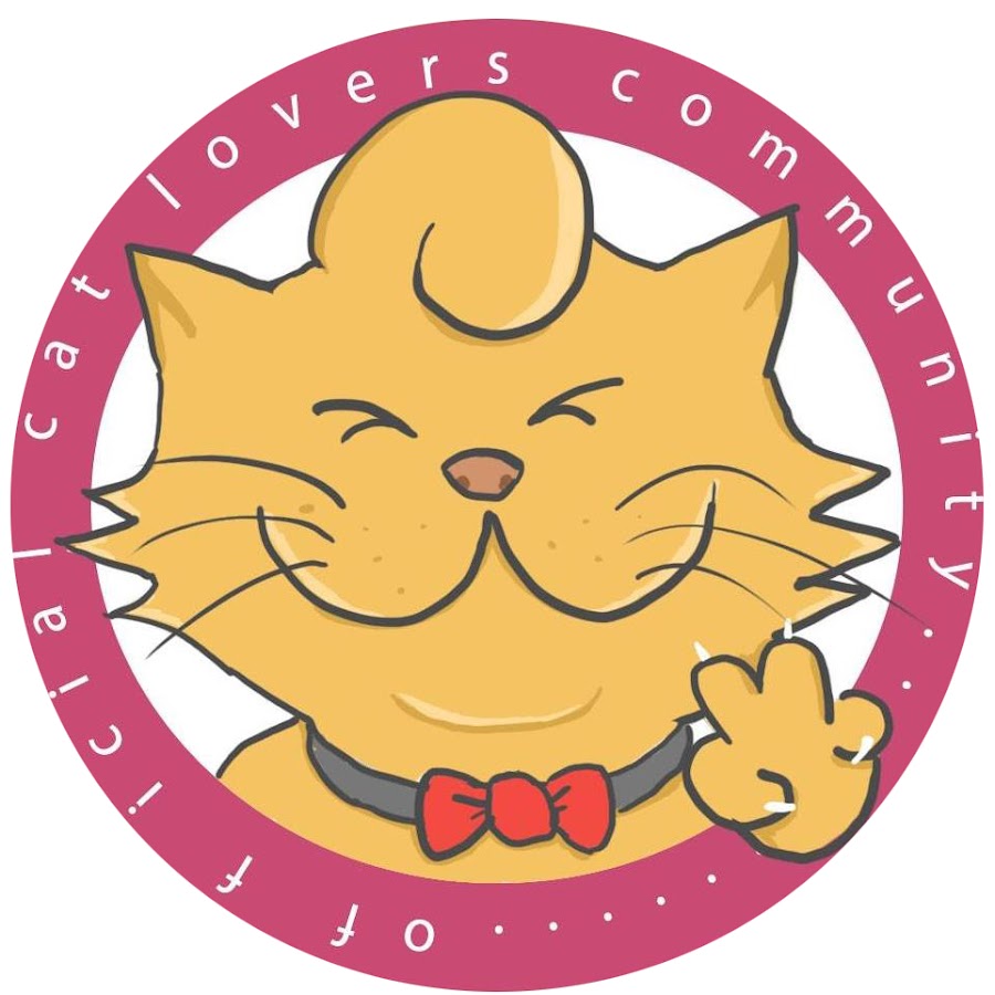 Captain Meow Official - YouTube