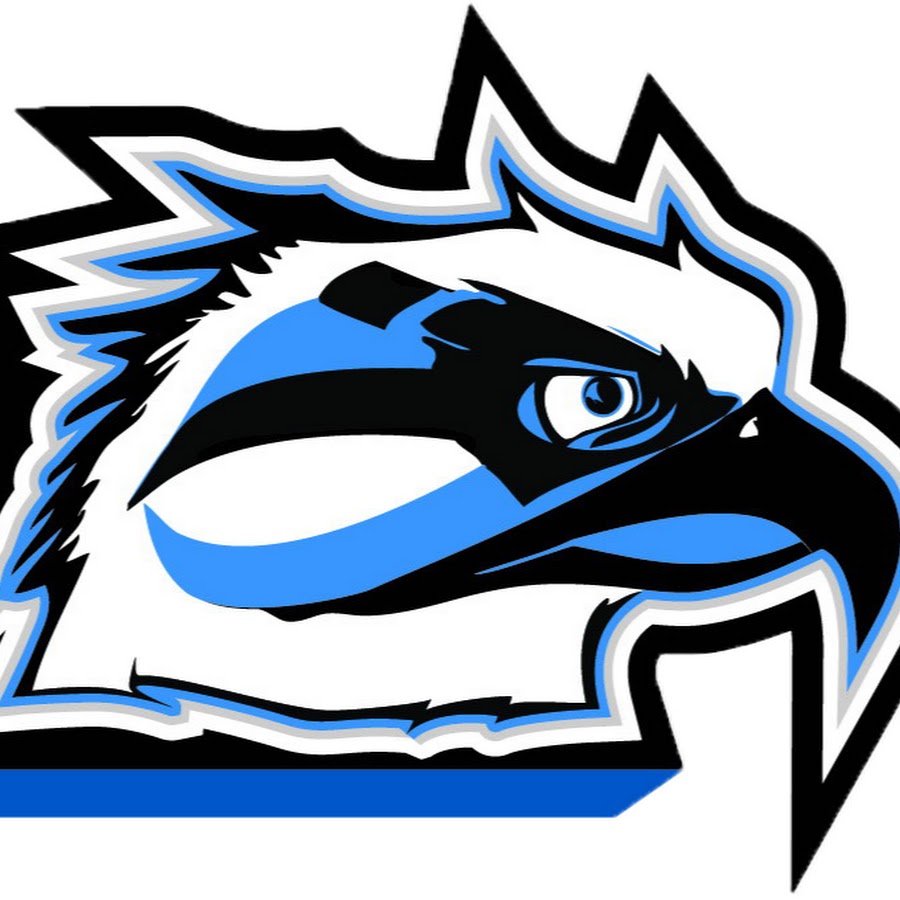 Sammy Seahawk - YouTube