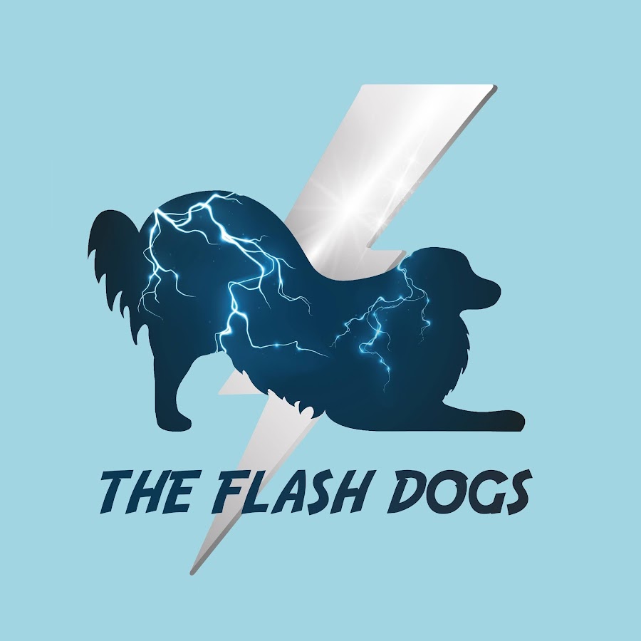 The flash dogs - YouTube