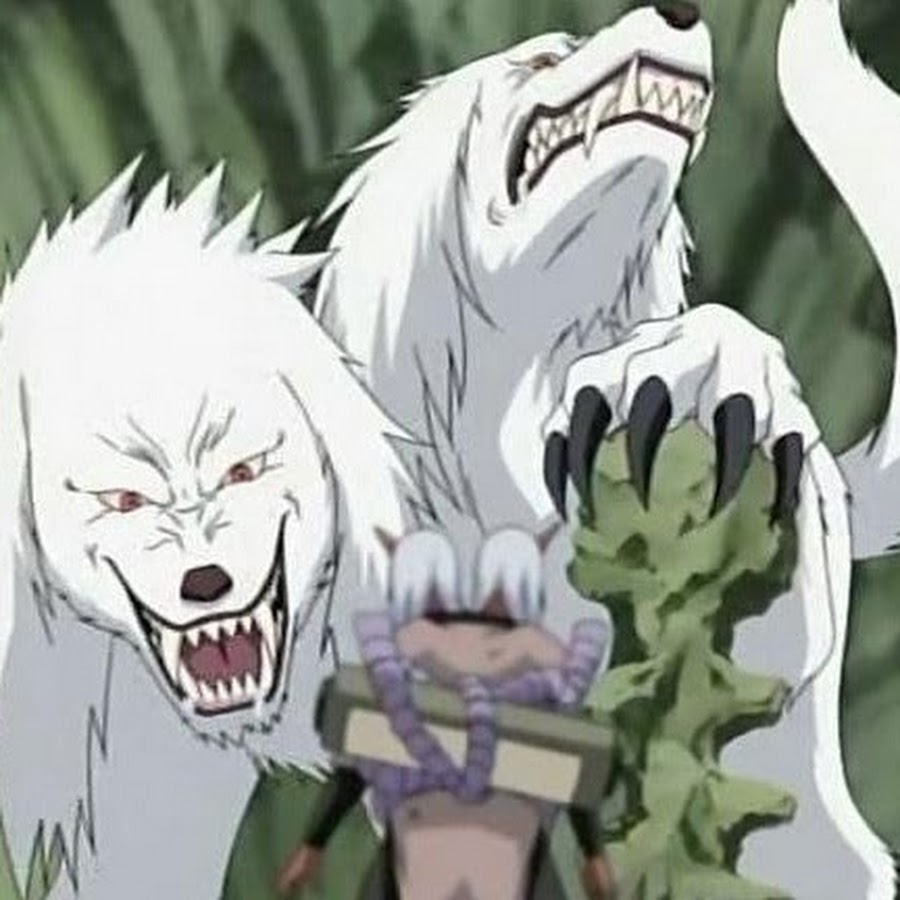 Akamaru333 - YouTube