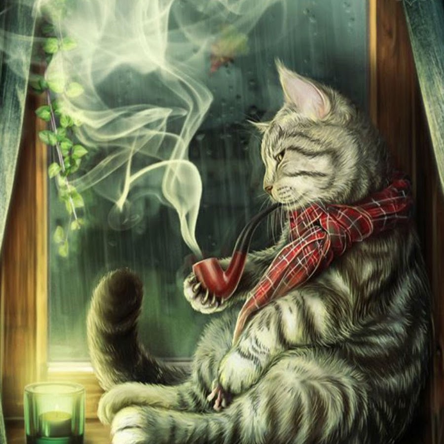 Danny Meow - YouTube