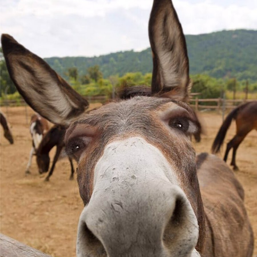 Blogersko MaGaRe - YouTube