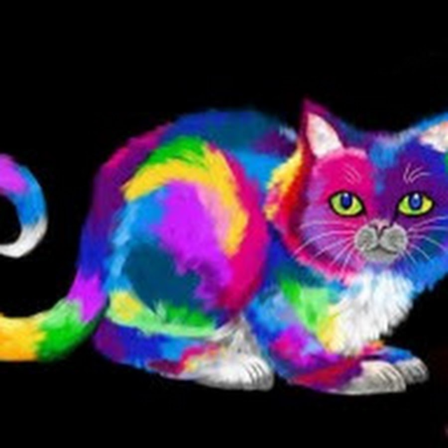 Rainbow Kitty - YouTube
