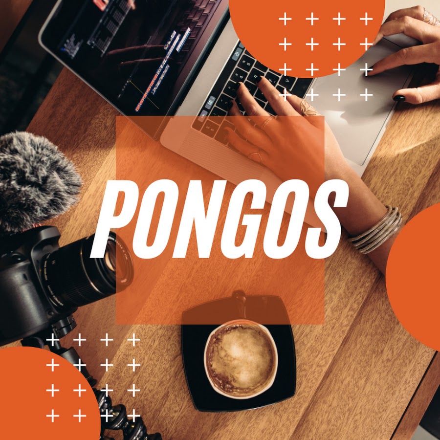 Pongos Interactive - YouTube