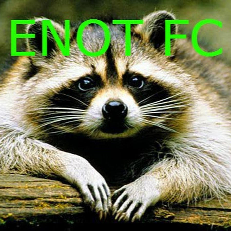 ENOT FX - YouTube
