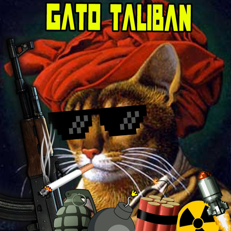 Gato Taliban - YouTube