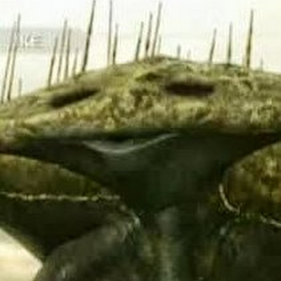 Alan Tribe - YouTube