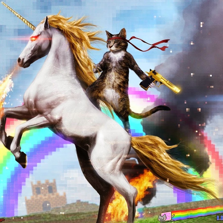 Alpha catz .... meow - YouTube