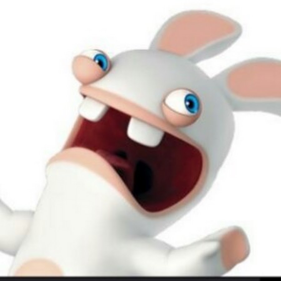 Raving Rabbid._. - YouTube