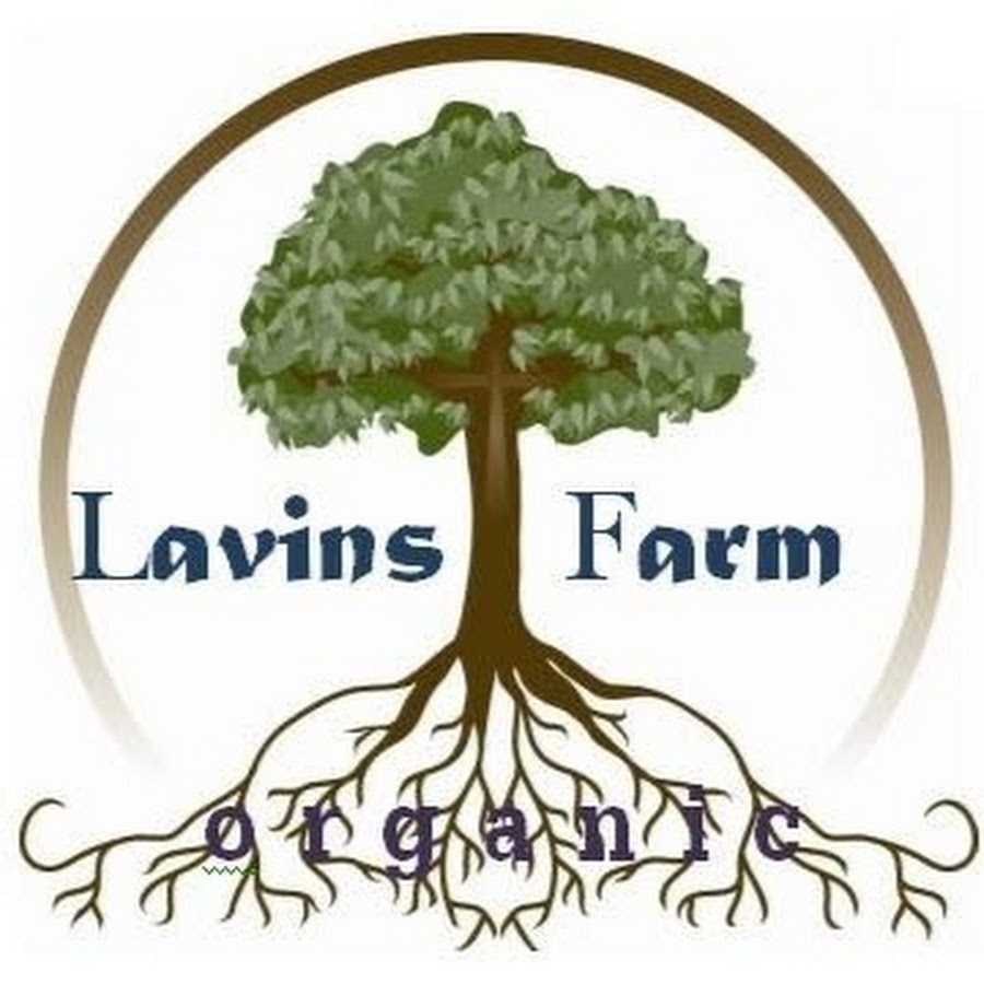 lavins farm - YouTube