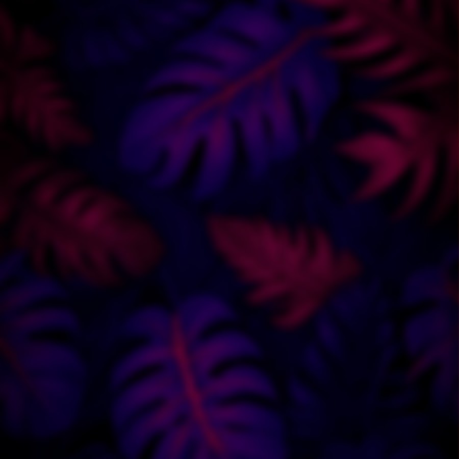 NO RISK NO FUN - YouTube