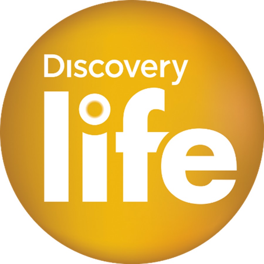 Discovery Life Channel - YouTube