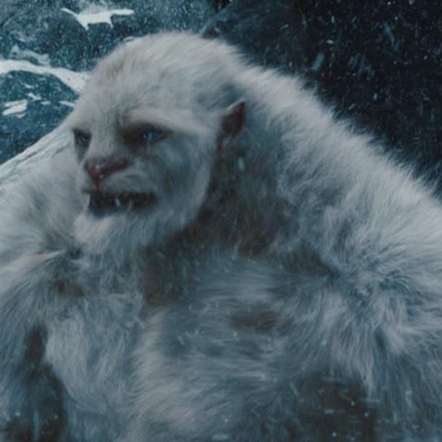 yeti teeth - YouTube