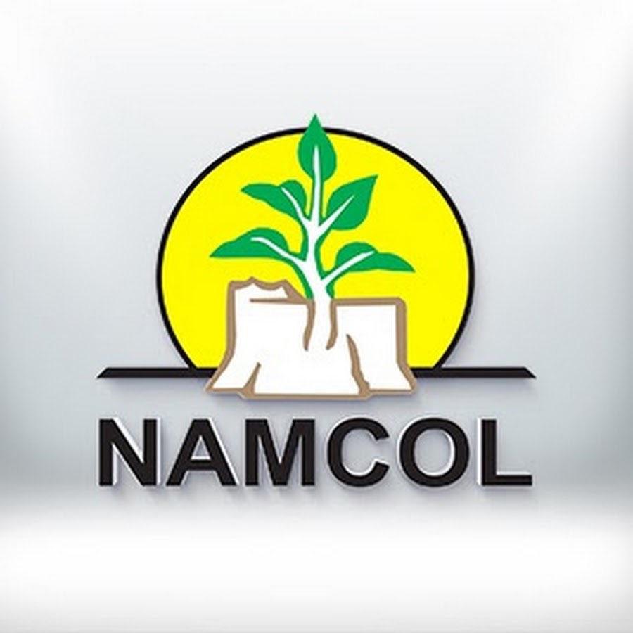 Namcol Edu - YouTube