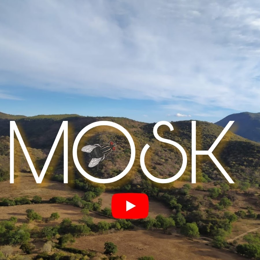 Mosk ! - YouTube