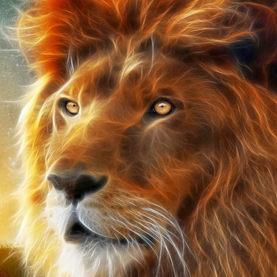 Ryan the Lion - YouTube