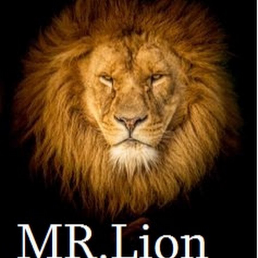 MR. Lion - YouTube