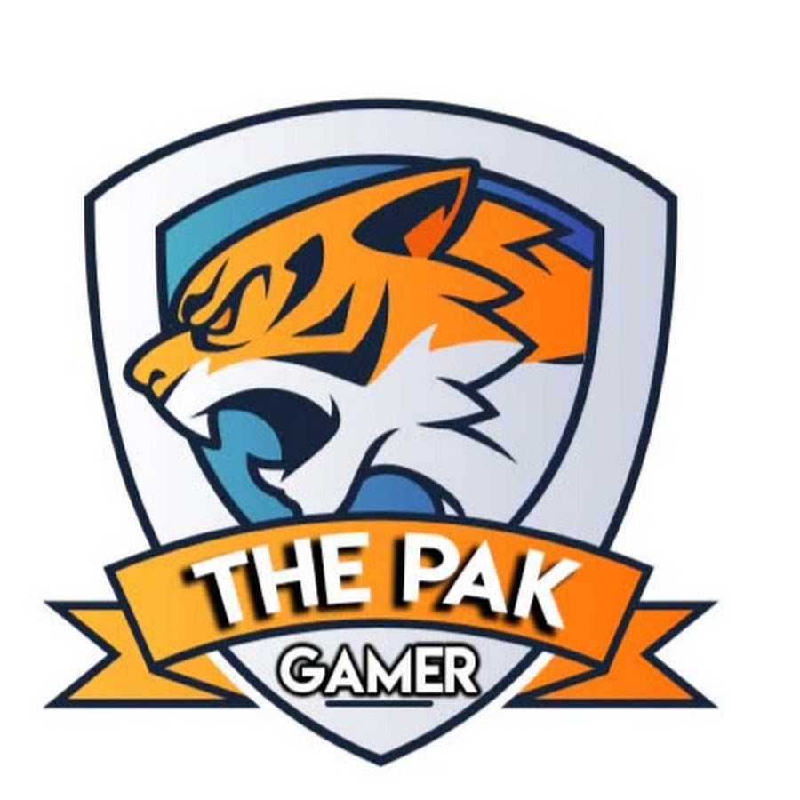 The Pakistani Gamer - YouTube