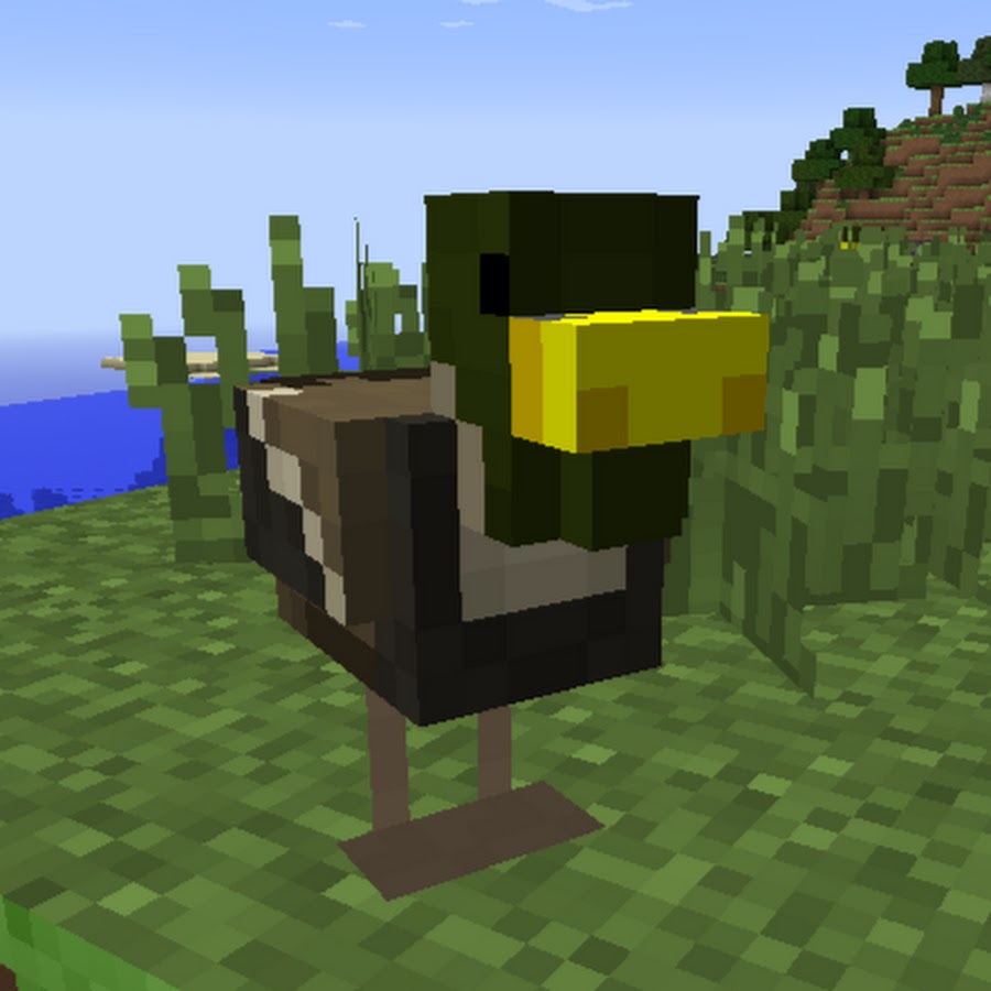 Legendary Duck - YouTube