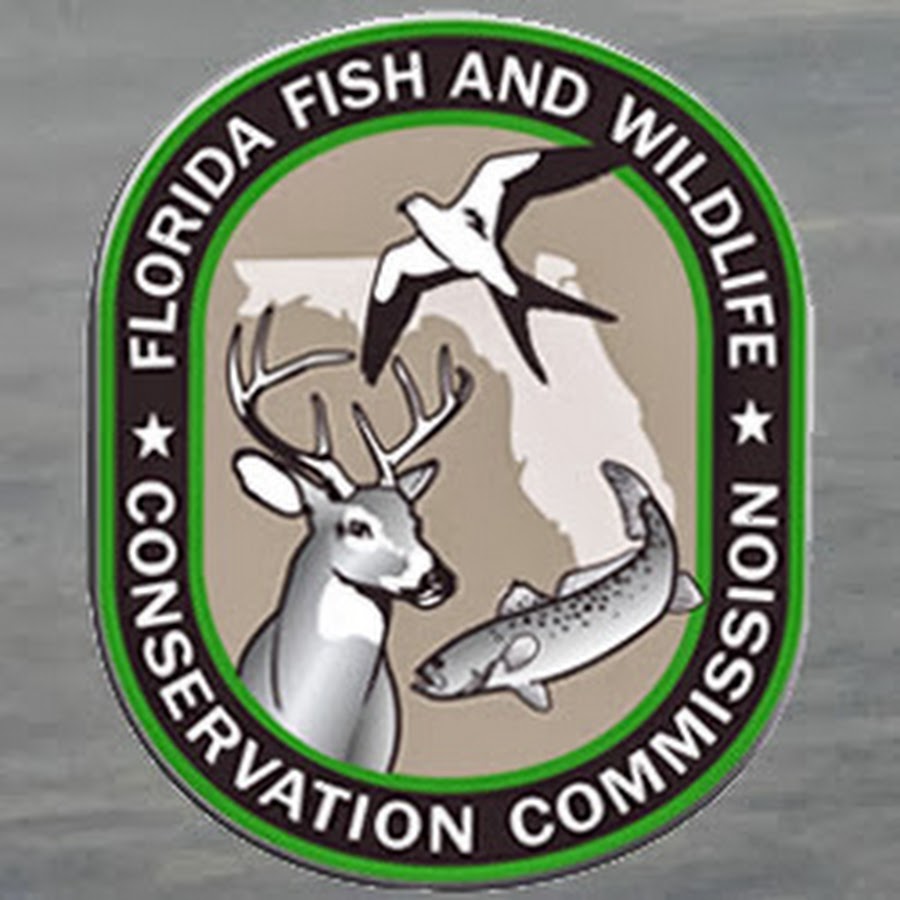 Florida Fish and Wildlife Conservation Commission - YouTube