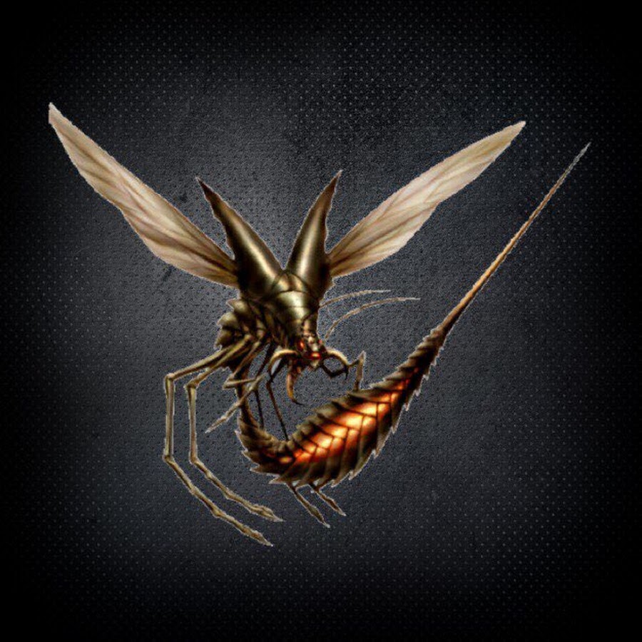 _FlytoX_ BOLD - YouTube