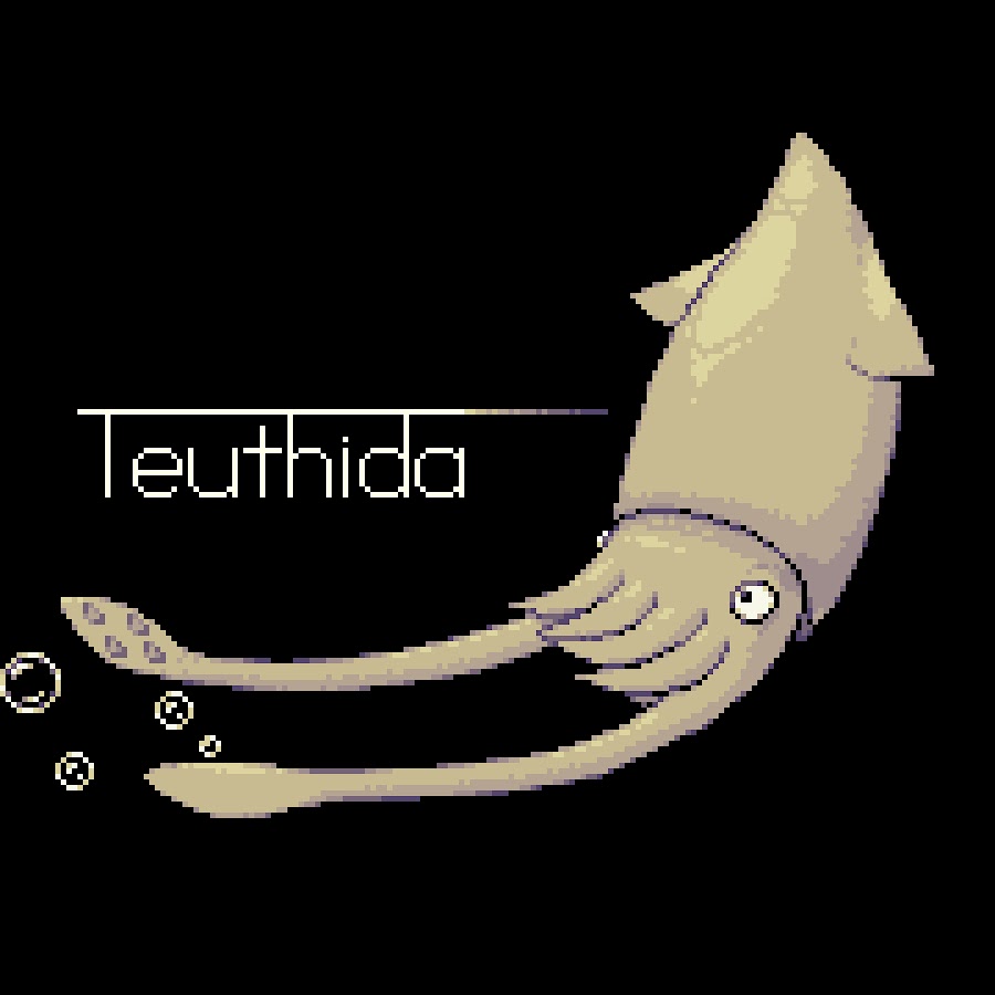 Teuthida - YouTube