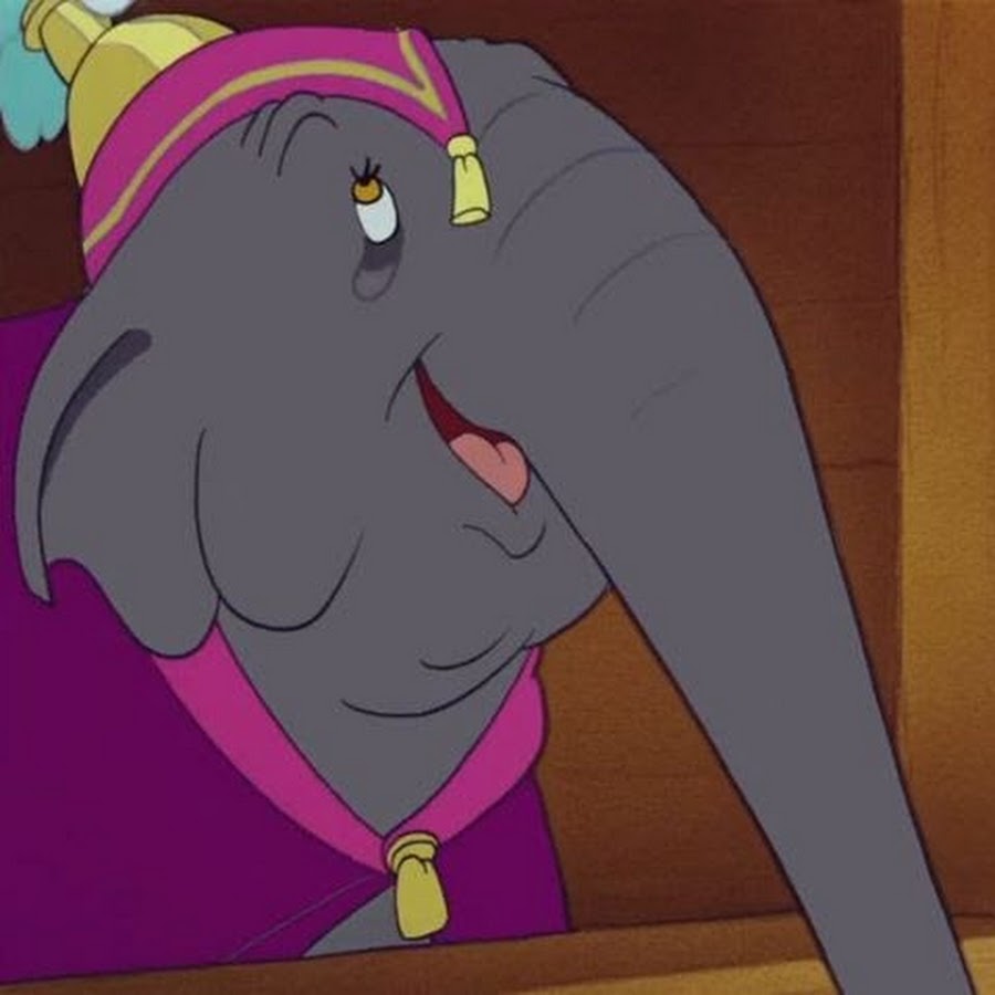 Matriarch Elephant - YouTube