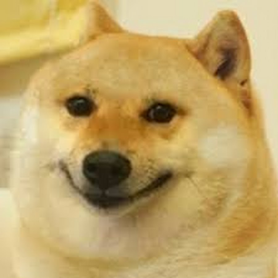 Doggo Mr. - YouTube