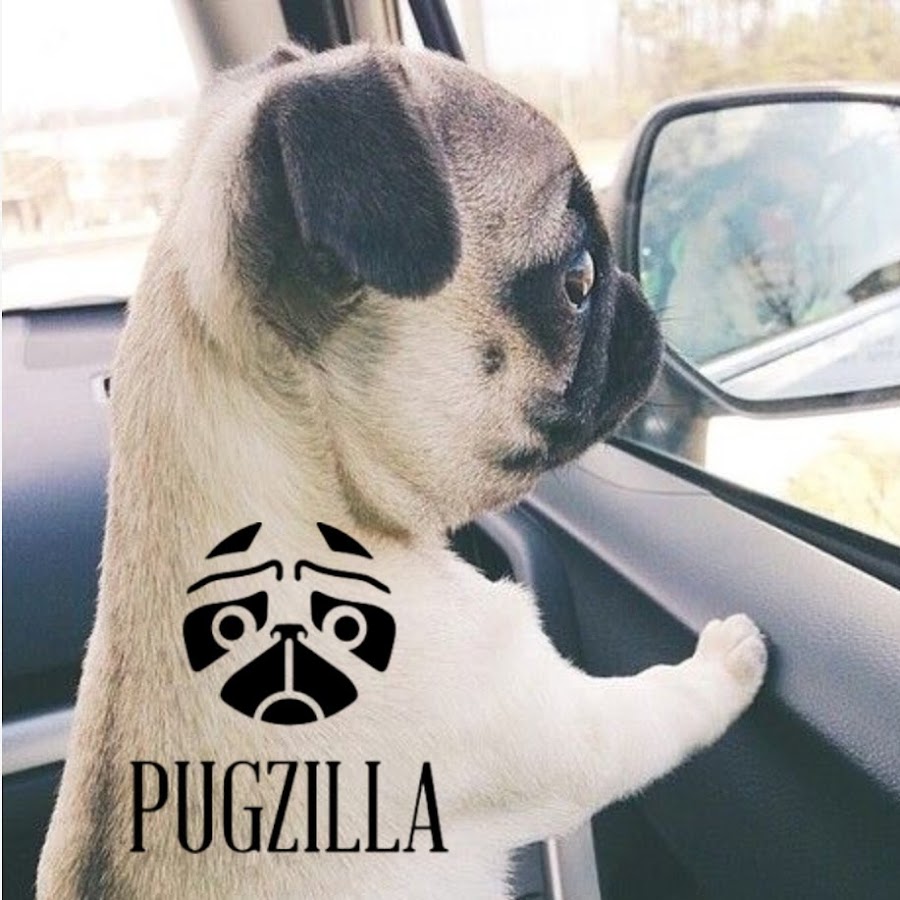 PUGZILLA - YouTube