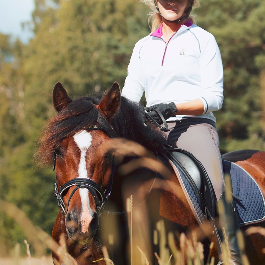 Bull-VS-Horse - YouTube