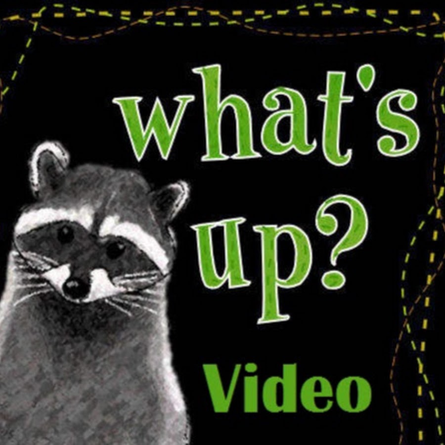 whats-up-video-youtube