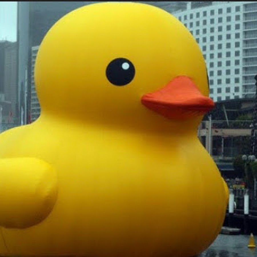 Chicken engineer Gaming and animations - YouTube