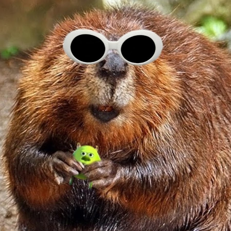 L'Ancien KASTOR - YouTube