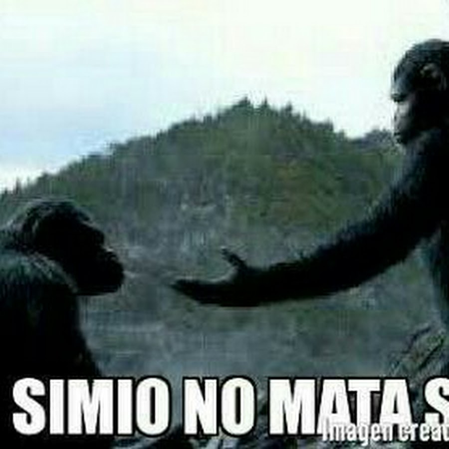 Simio No Mata Simio - YouTube