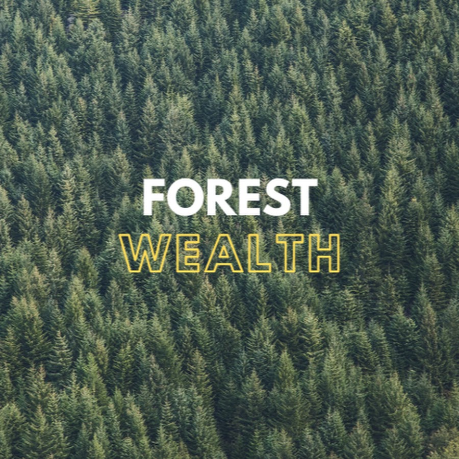 FOREST WEALTH - YouTube