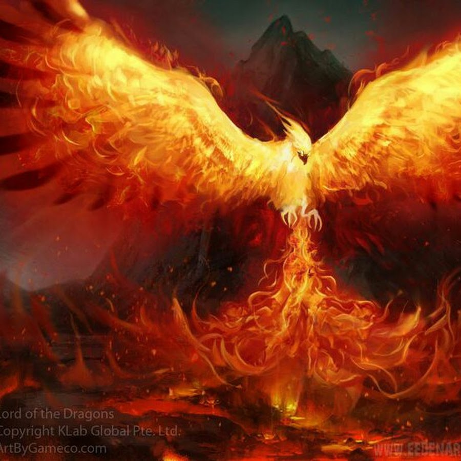 the demonized phoenix - YouTube