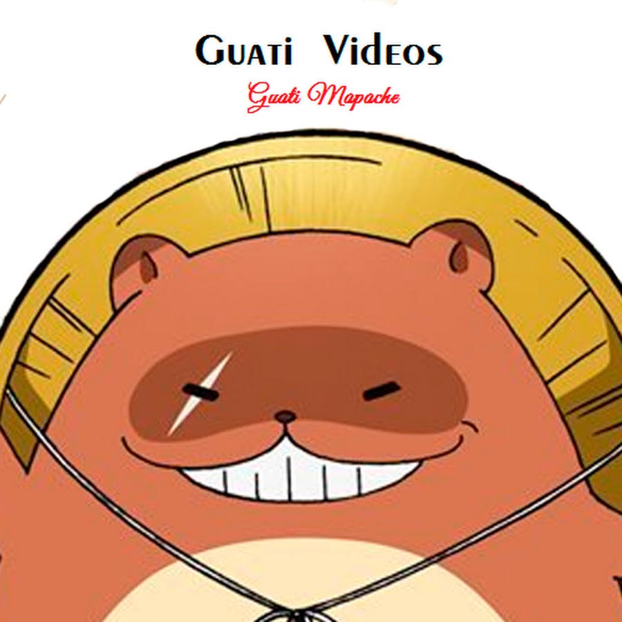 Guati Mapache - YouTube