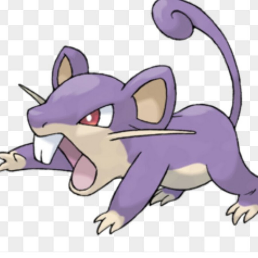 master rat - YouTube