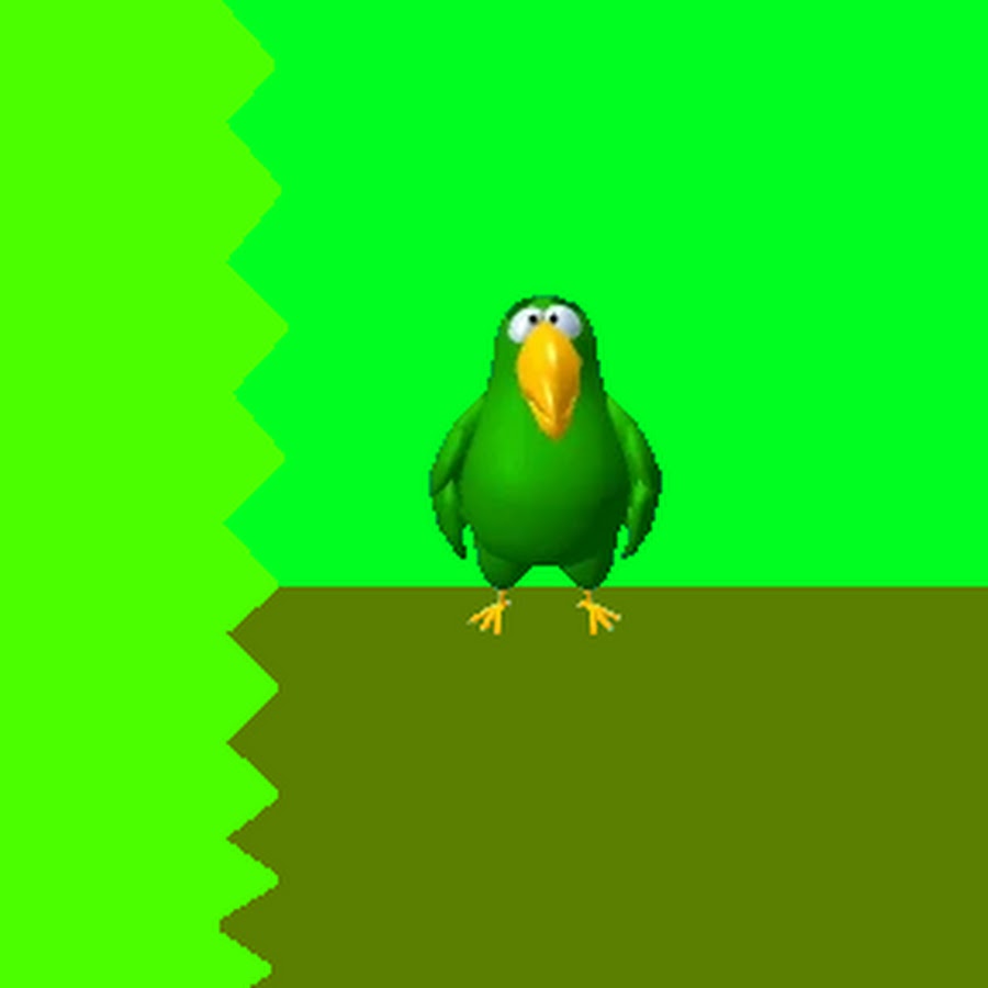 Peedy The Parrot - YouTube