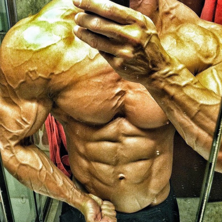 Fitness and Muscle - YouTube