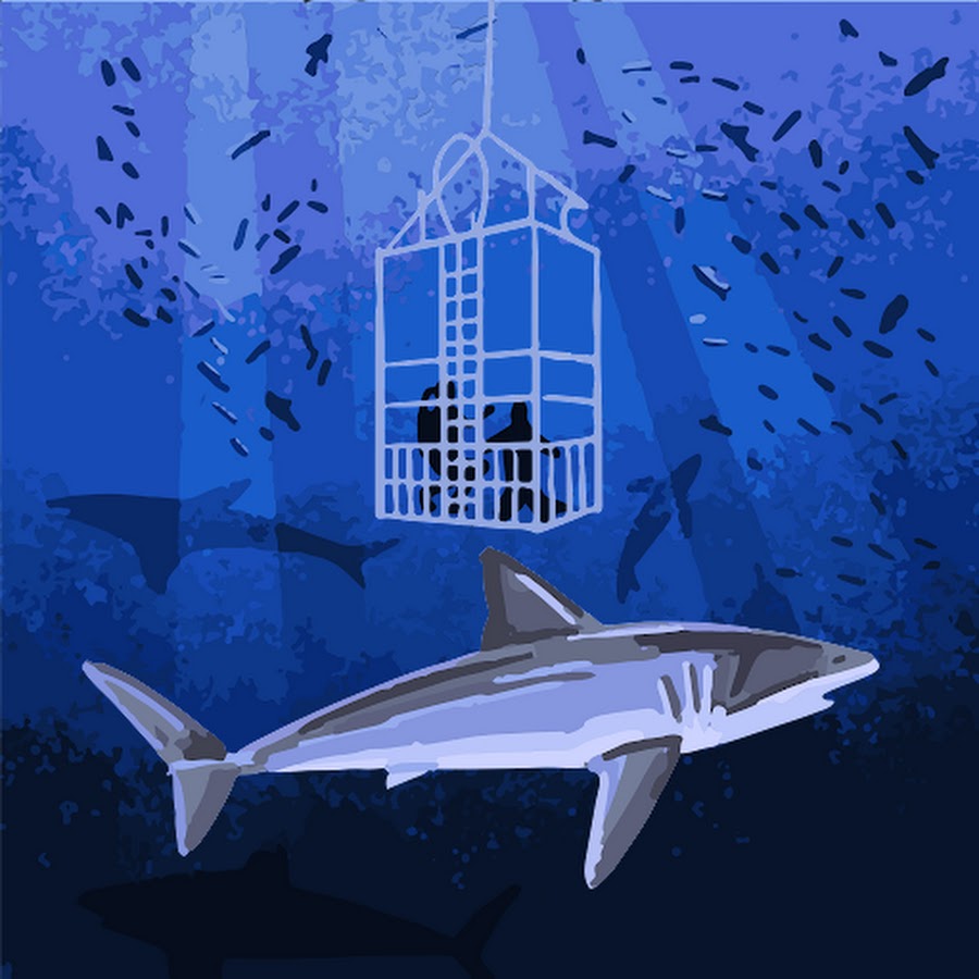 Tayler Bodzer - YouTube