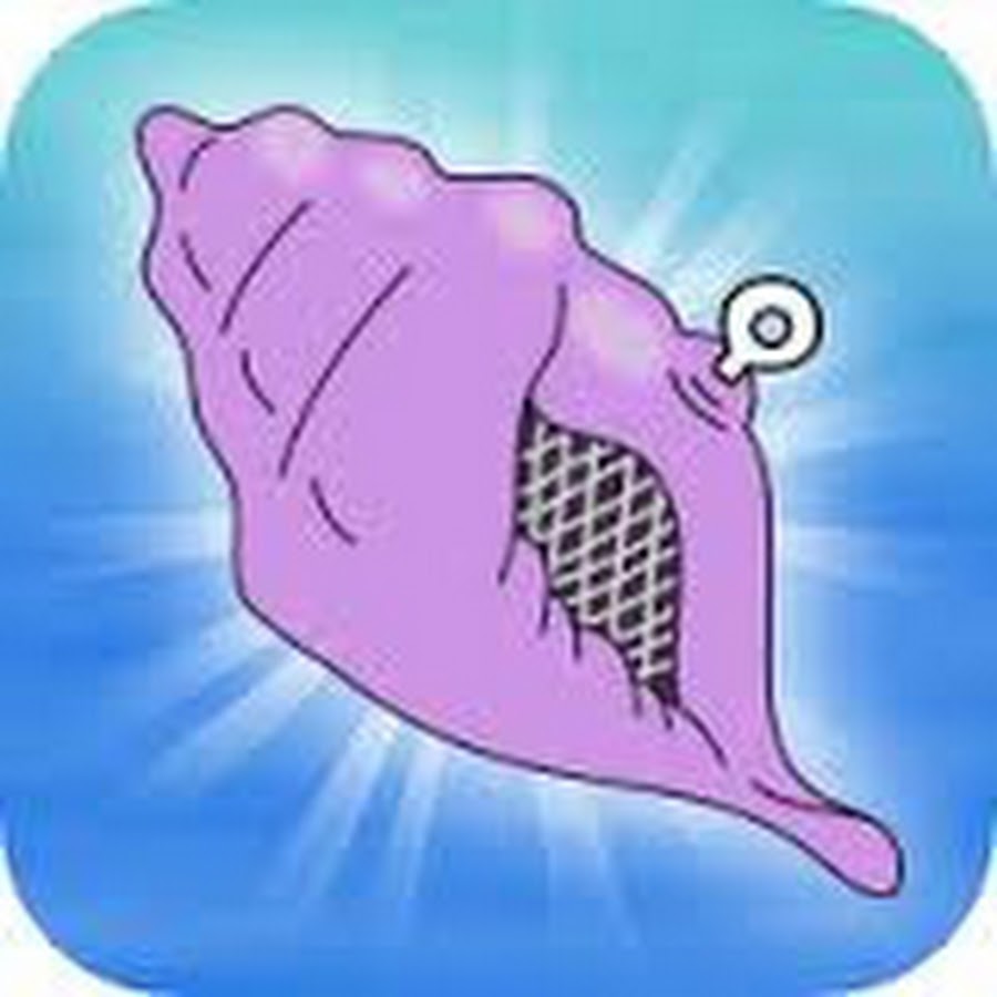 The Magic Conch Shell - YouTube