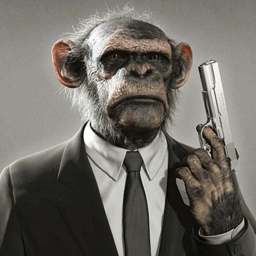 Monkey Gaming - YouTube