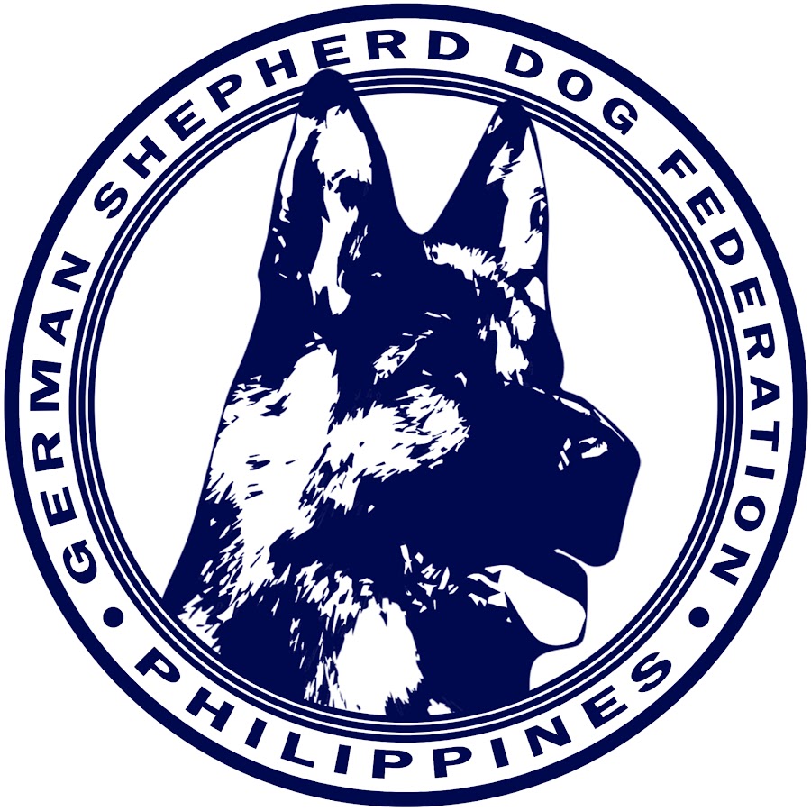 GSDF Philippines - YouTube