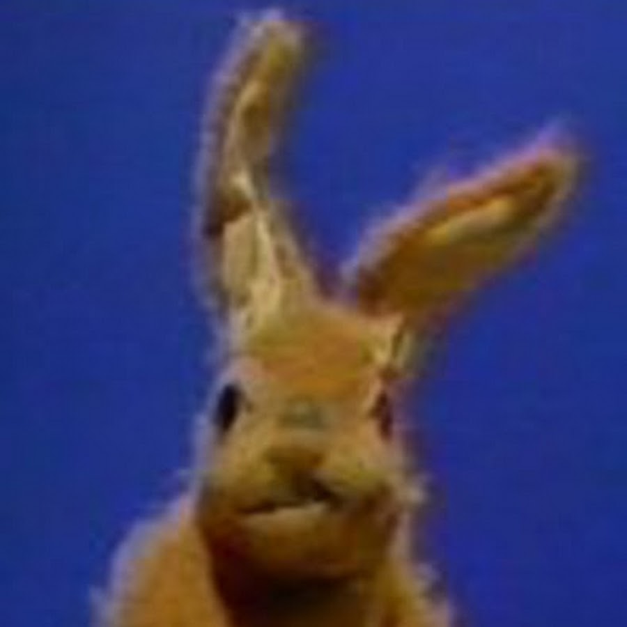 Hartley Hare - YouTube