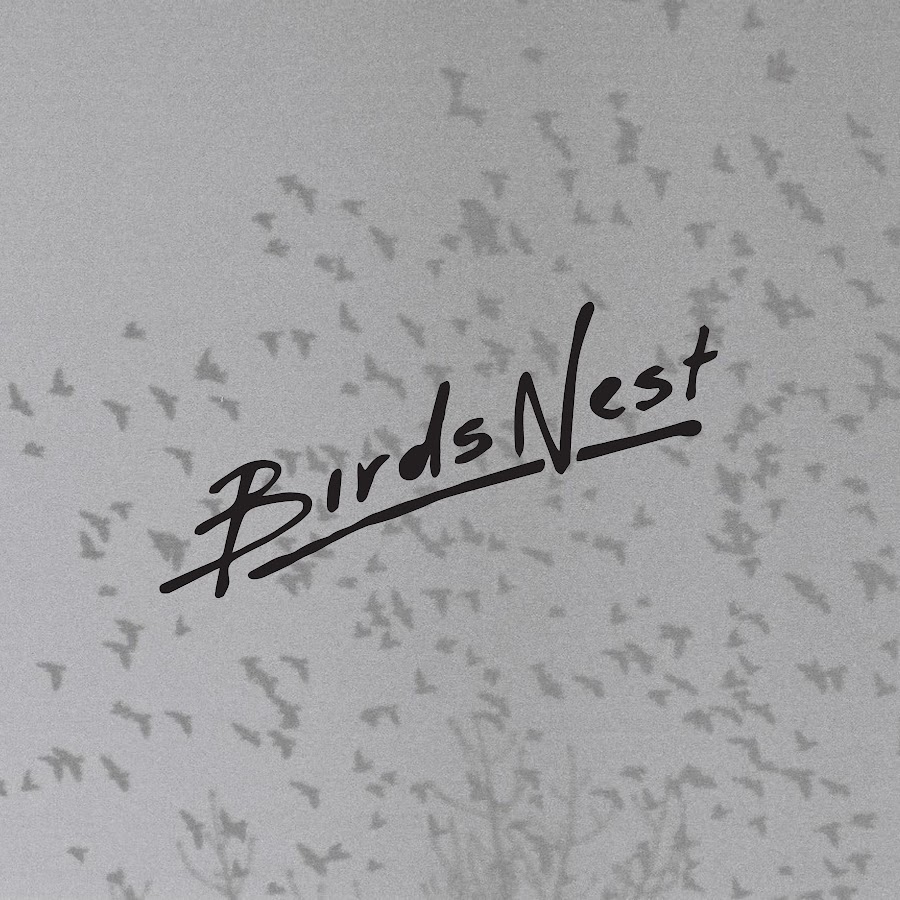 BirdsNest - YouTube